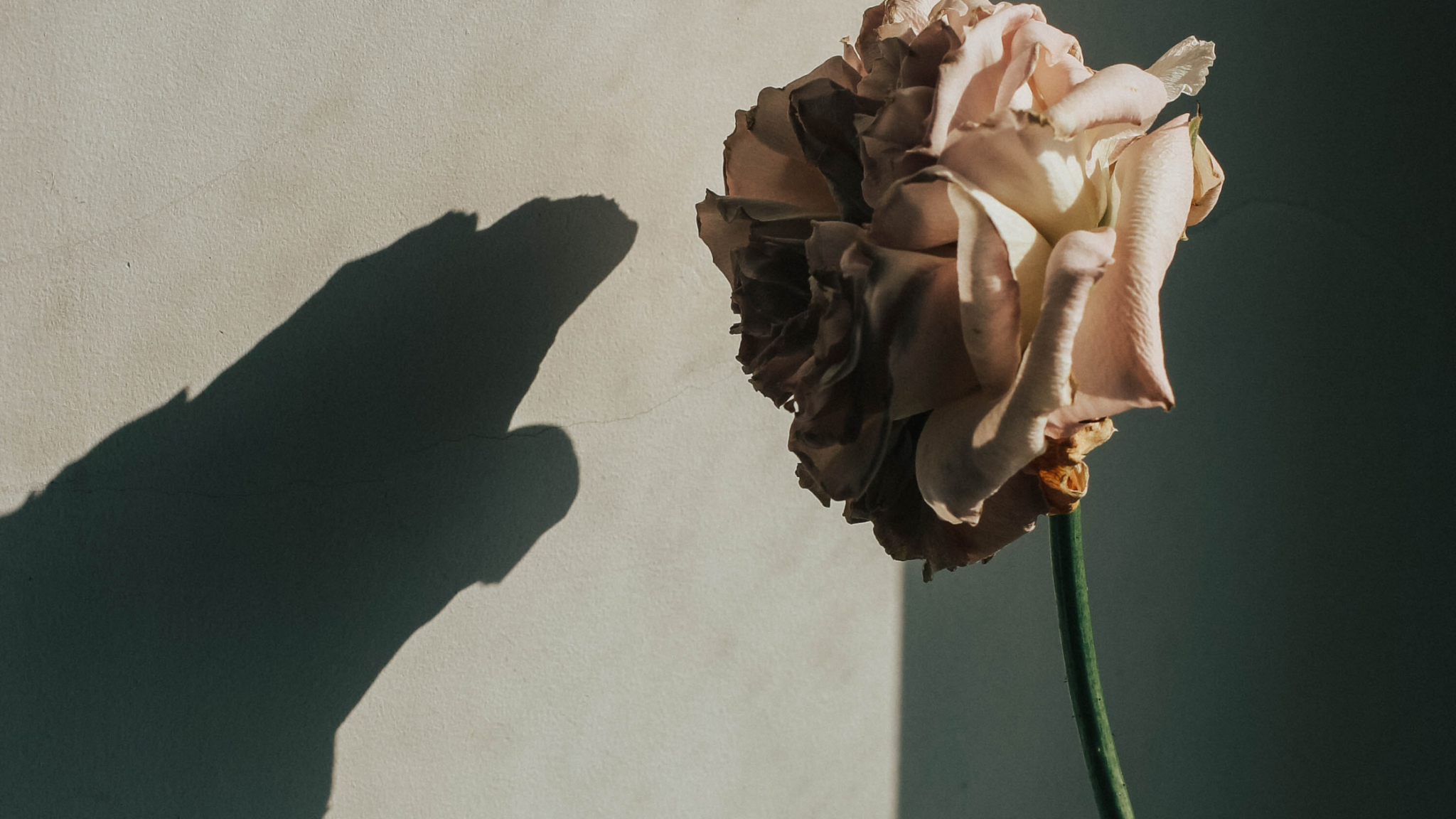 Casamento: Casamento com Descrente - Graça Em Flor
